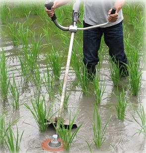 Rice field cutter ” Mizukusa cutter” | SANYO METAL WORKS CO.,LTD.